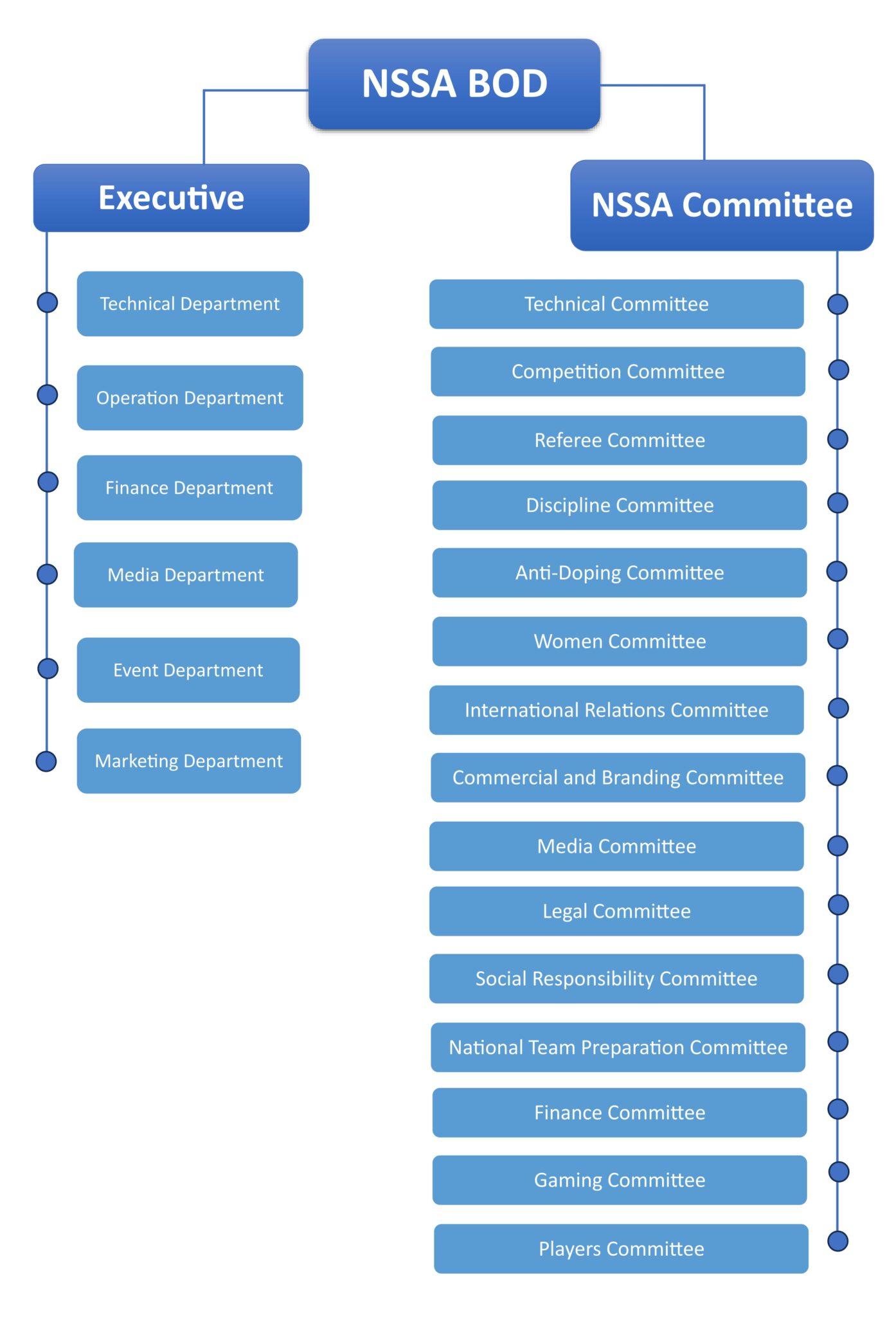 NSSA Organizational Structure – Nepal Skating and Skateboarding Association